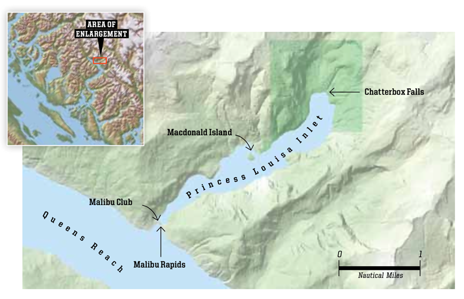 History — Princess Louisa International