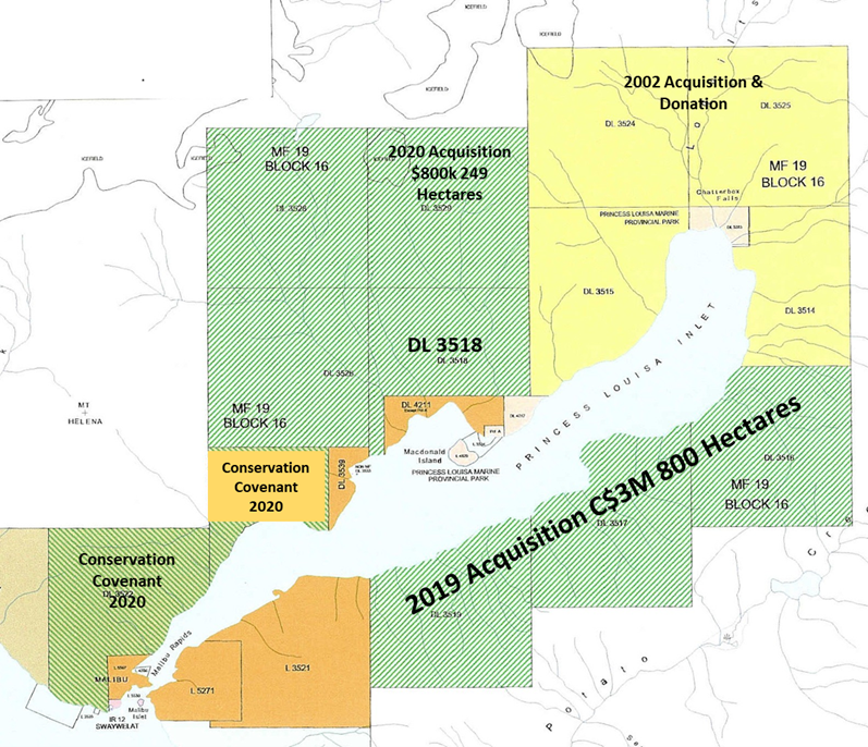History — Princess Louisa International