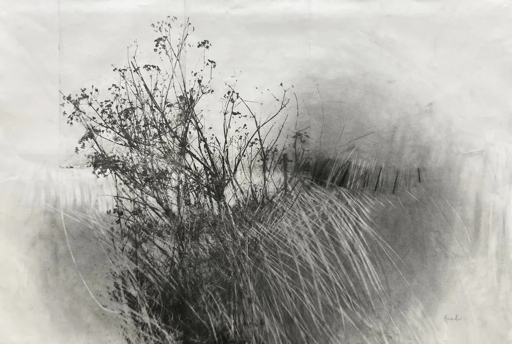 Helen Ward