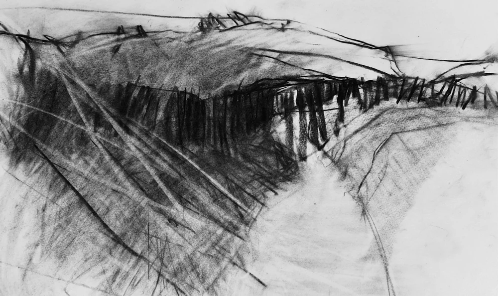 Helen Ward