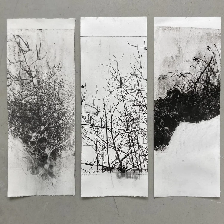 A series of creative workshops with artist Helen Ward in her studio in ...
