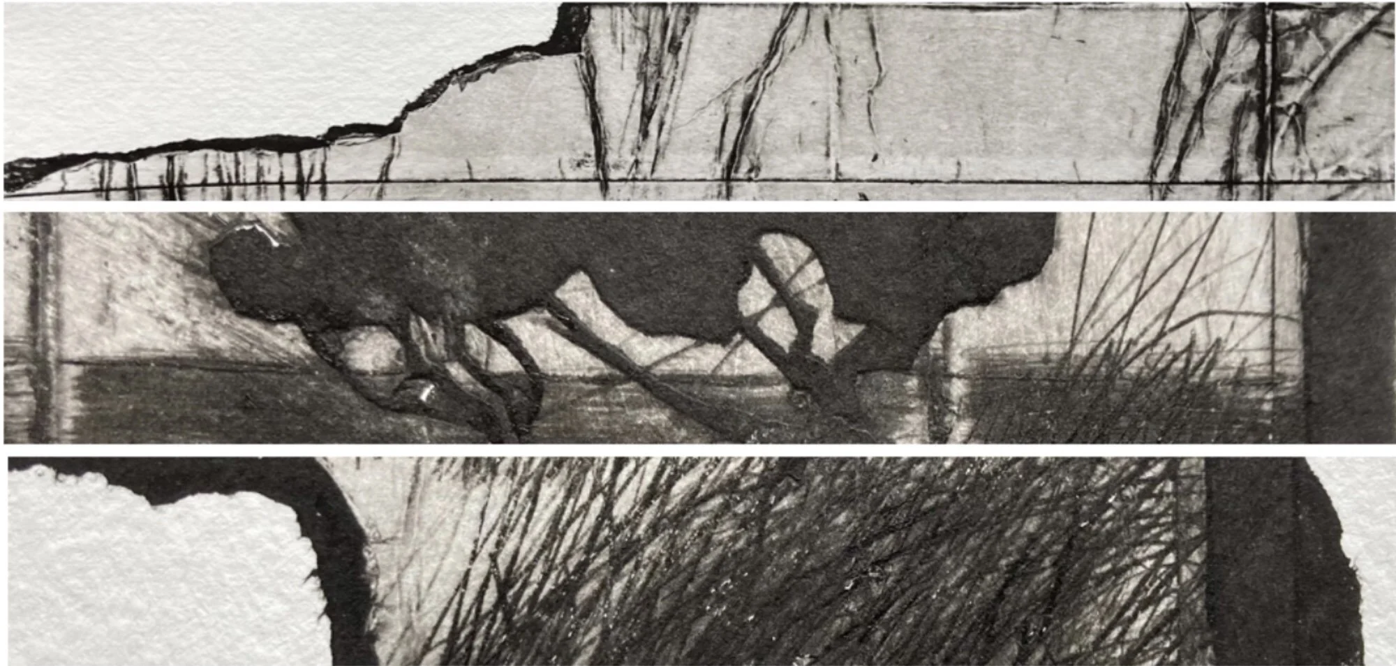 A series of creative workshops with artist Helen Ward in her studio in ...