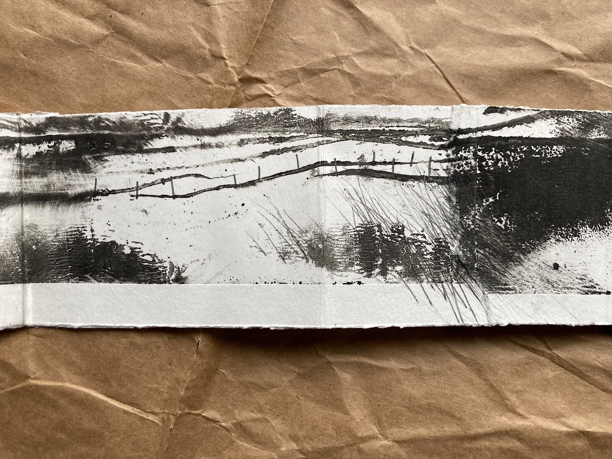 original artists' books inspired by the landscape — Helen Ward