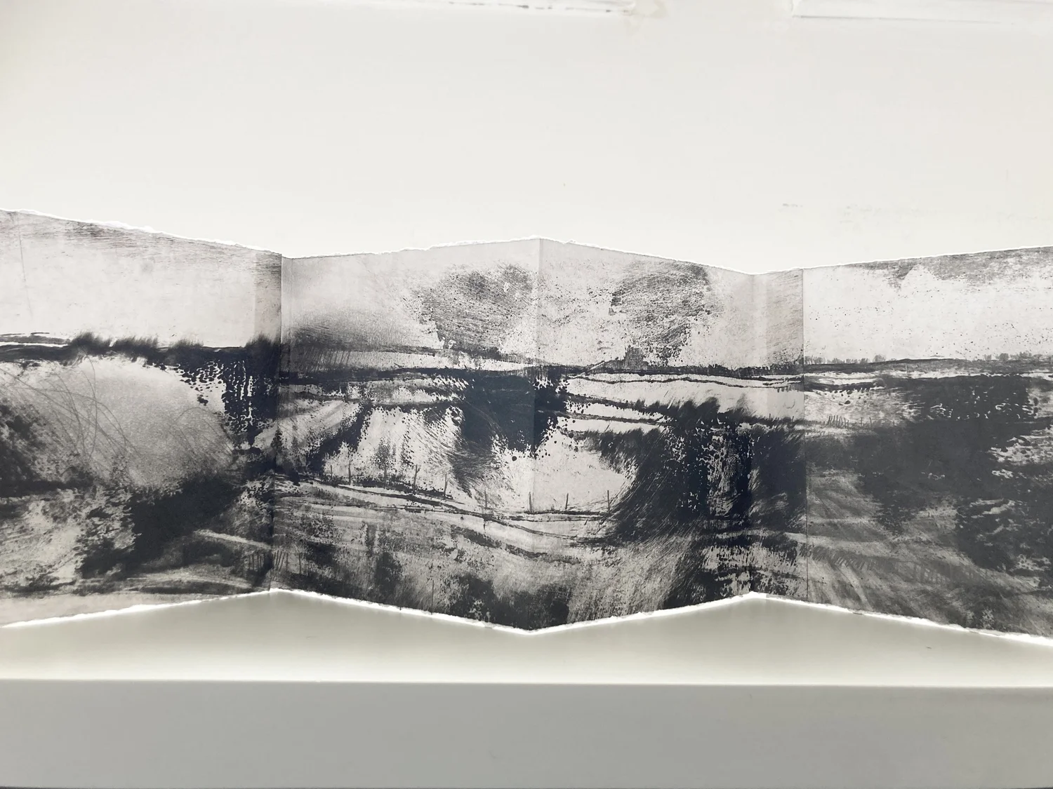 original artists' books inspired by the landscape — Helen Ward