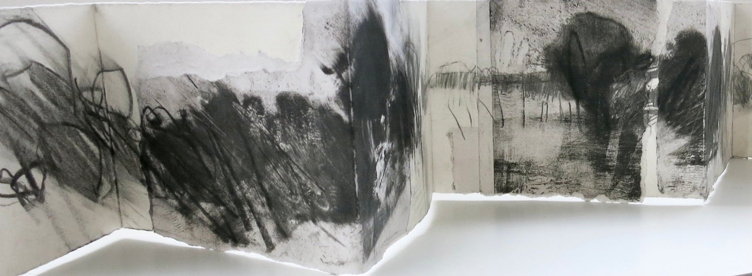 original artists' books inspired by the landscape — Helen Ward