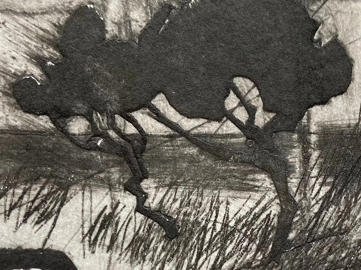 A series of creative workshops with artist Helen Ward in her studio in ...