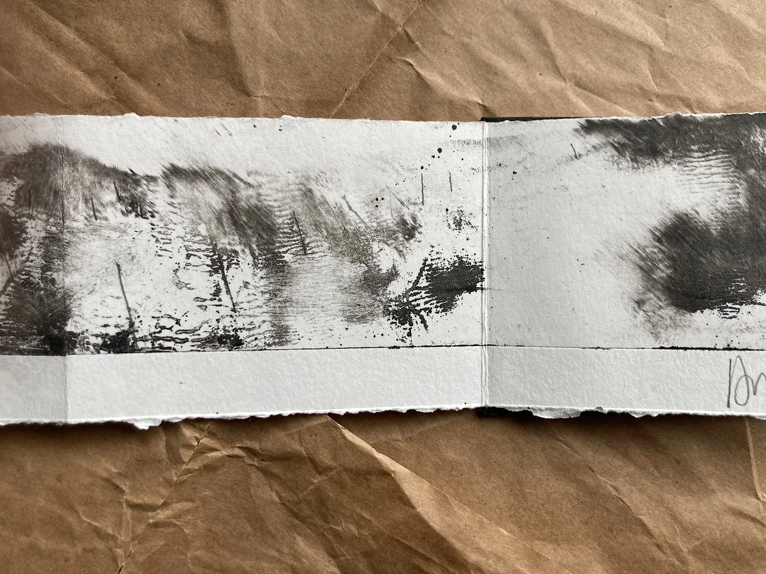 original artists' books inspired by the landscape — Helen Ward