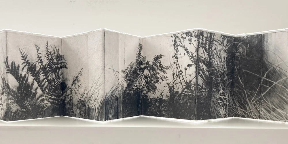 original artists' books inspired by the landscape — Helen Ward