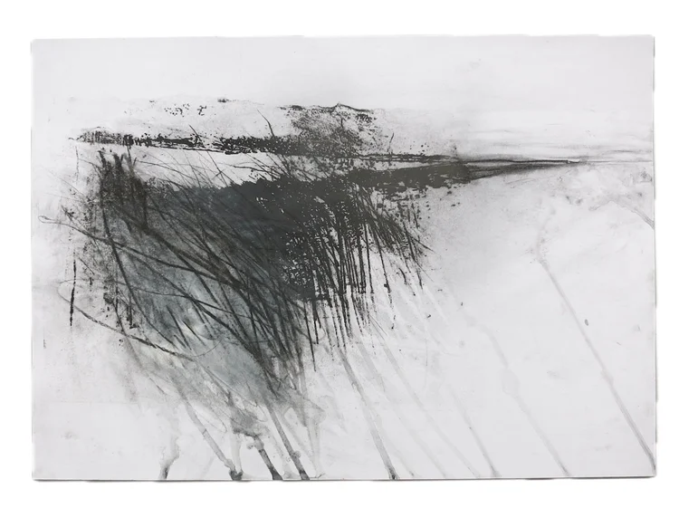 Paper Lithography printmaking — Helen Ward