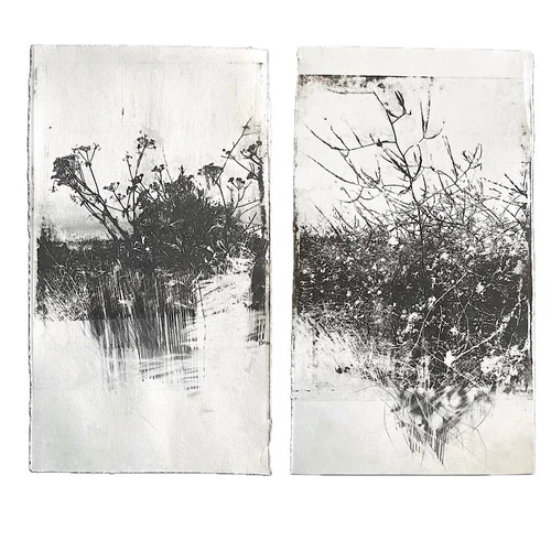A series of creative workshops with artist Helen Ward in her studio in ...