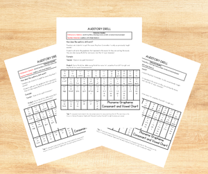 Structured Phonics Lesson: Part 1 — Literacy Edventures