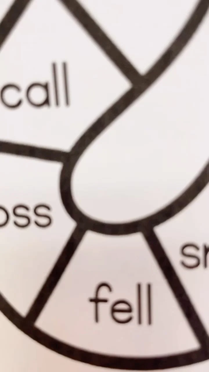 Orthographic Mapping — Literacy Edventures