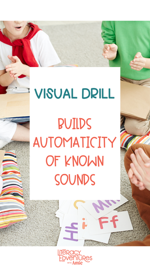 Phonics Lesson Part One — Literacy Edventures