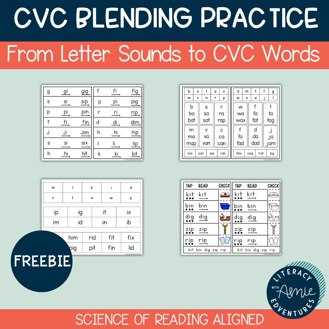 Decoding Practice: Words and Sentences CVCe Bundle — Literacy Edventures