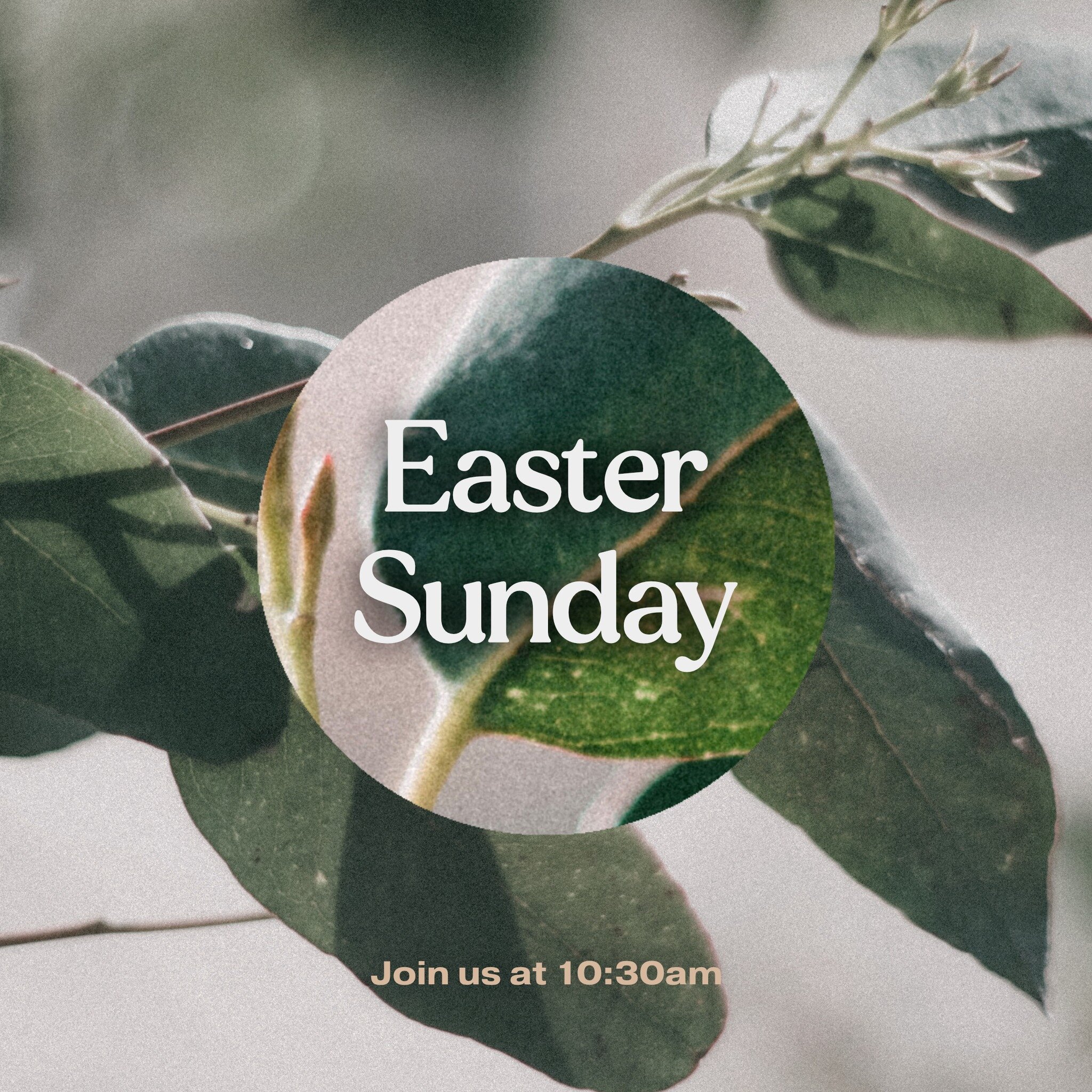 Revelation Church Manchester