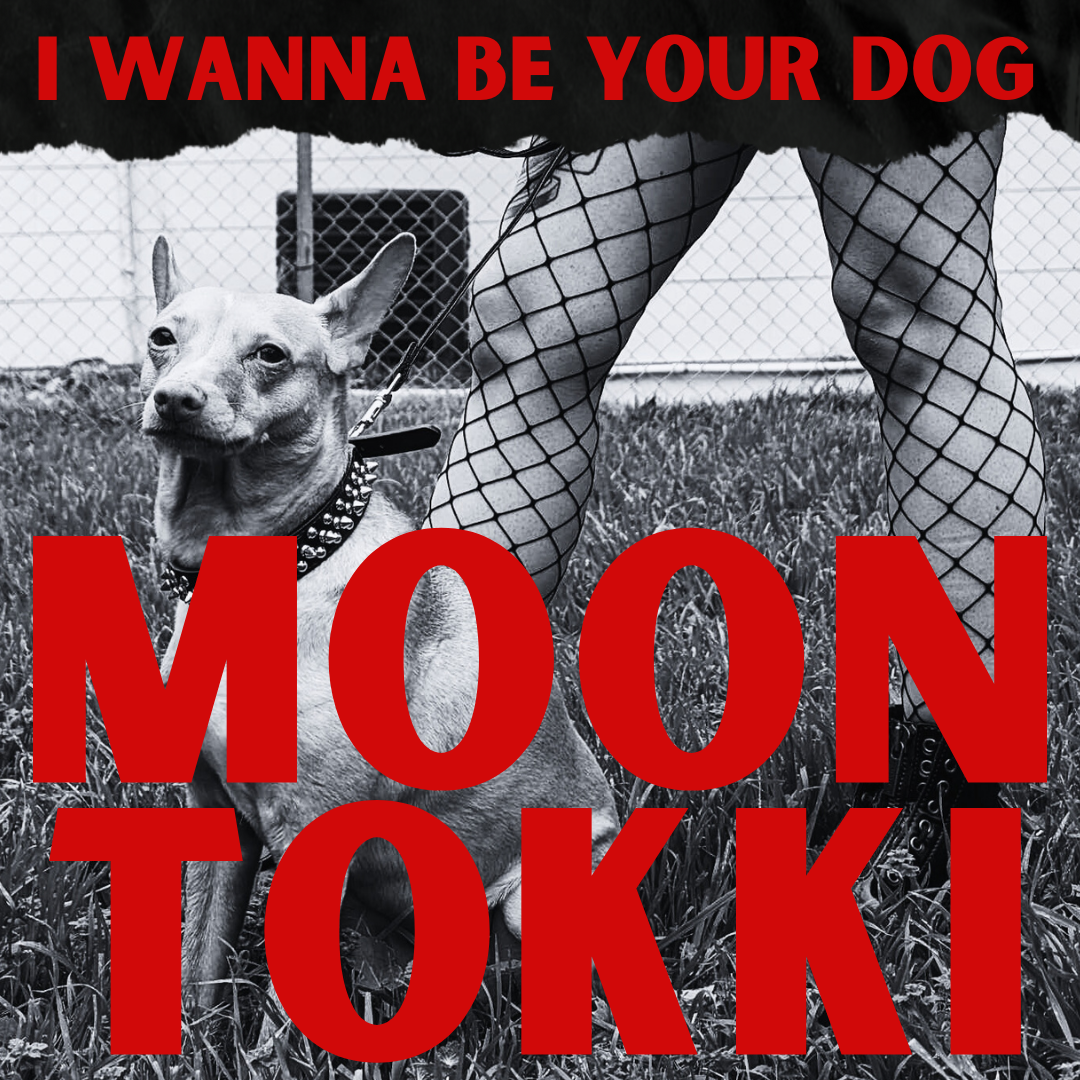Moon Tokki
