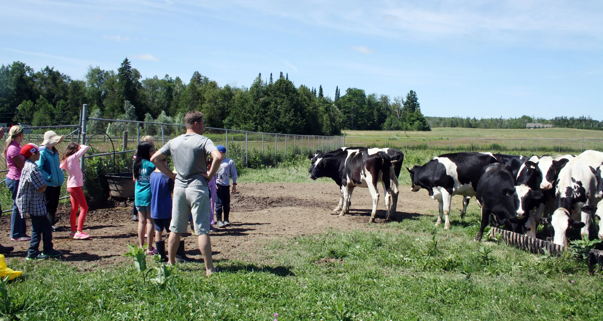 About 5 — Fiddlehead Care Farm