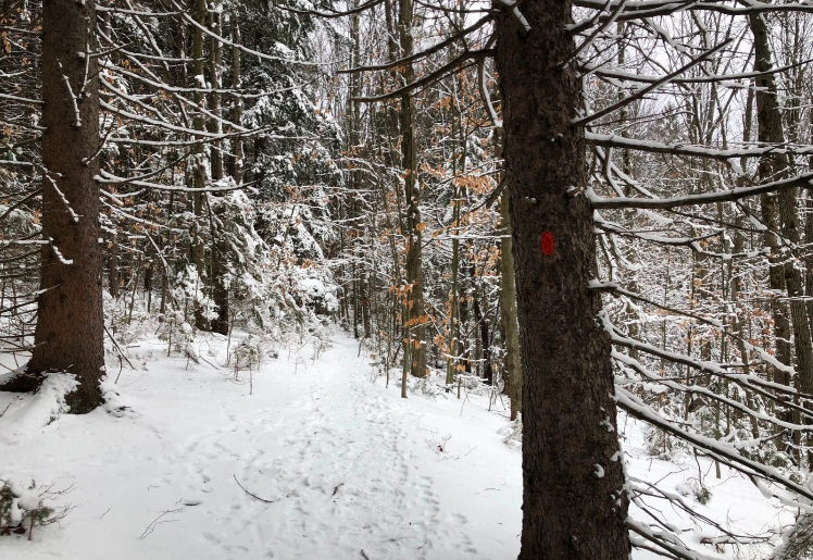 Abbott Loop Trail | Trails Less Traveled | Central NY