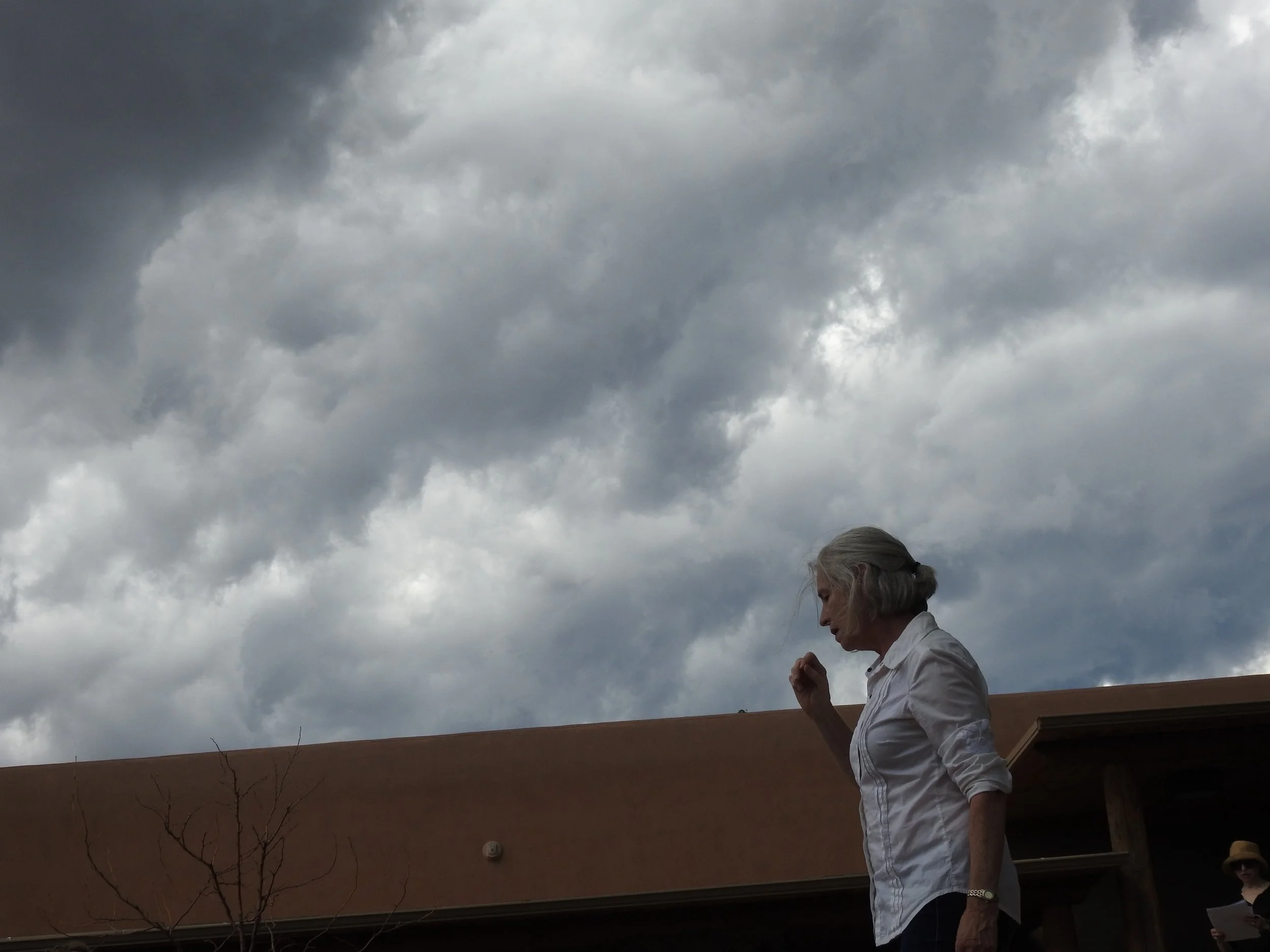 ISC Board — ISC SANTA FE