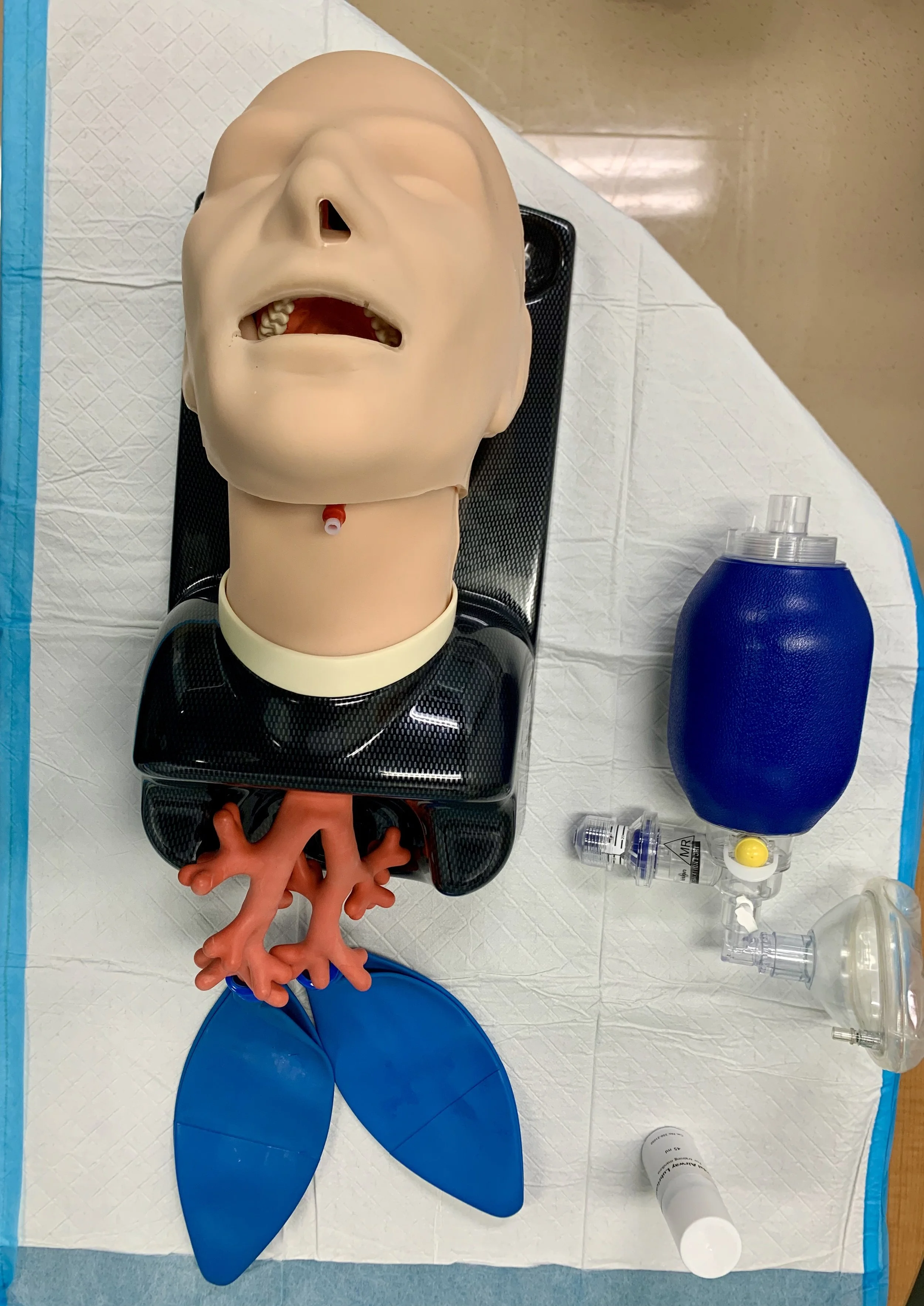 Gallery — Future Physicians of America