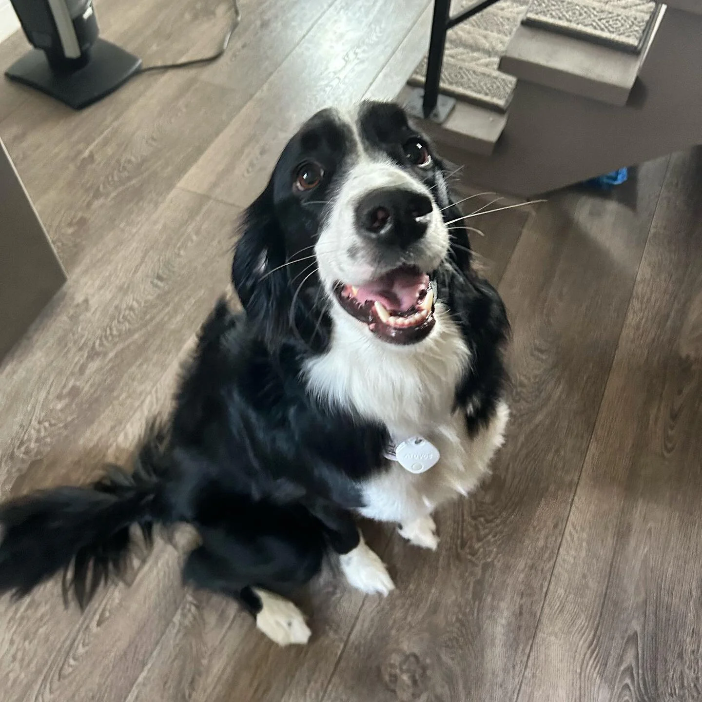 Sarah Burke: Radio & Podcast Host, Producer and Storyteller — SARAHBURKE.CA