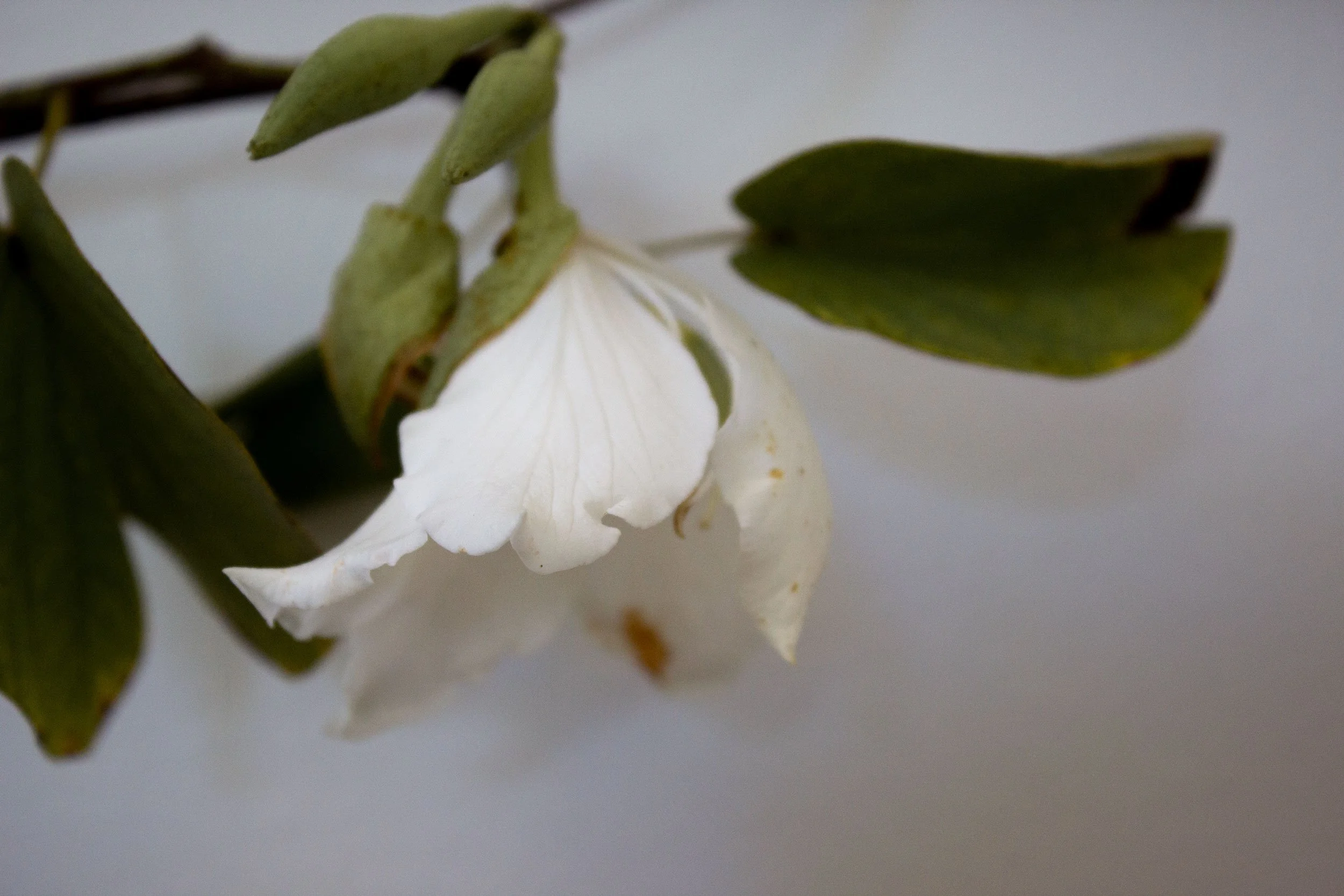 Blog — Sarah Field