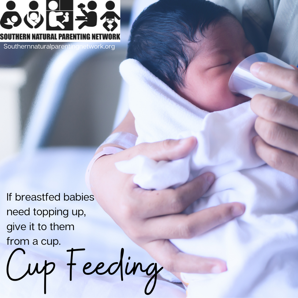 Cup feeding your newborn — Southern Natural Parenting Network