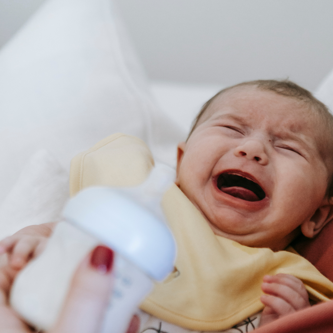 Bottle Refusal - is this really the problem? — Southern Natural ...