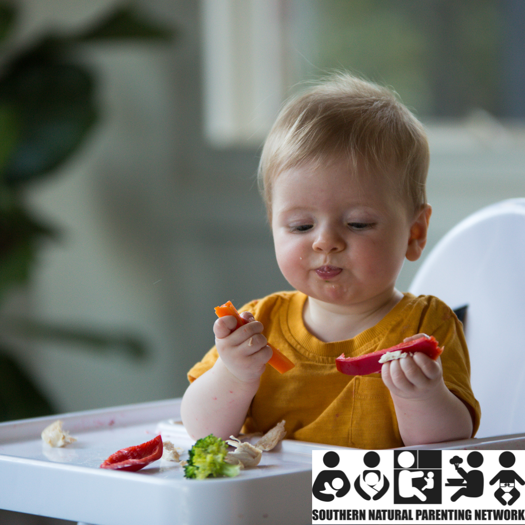 Raising Vegan or Vegetarian Children – Nourishing Infants and Toddlers ...