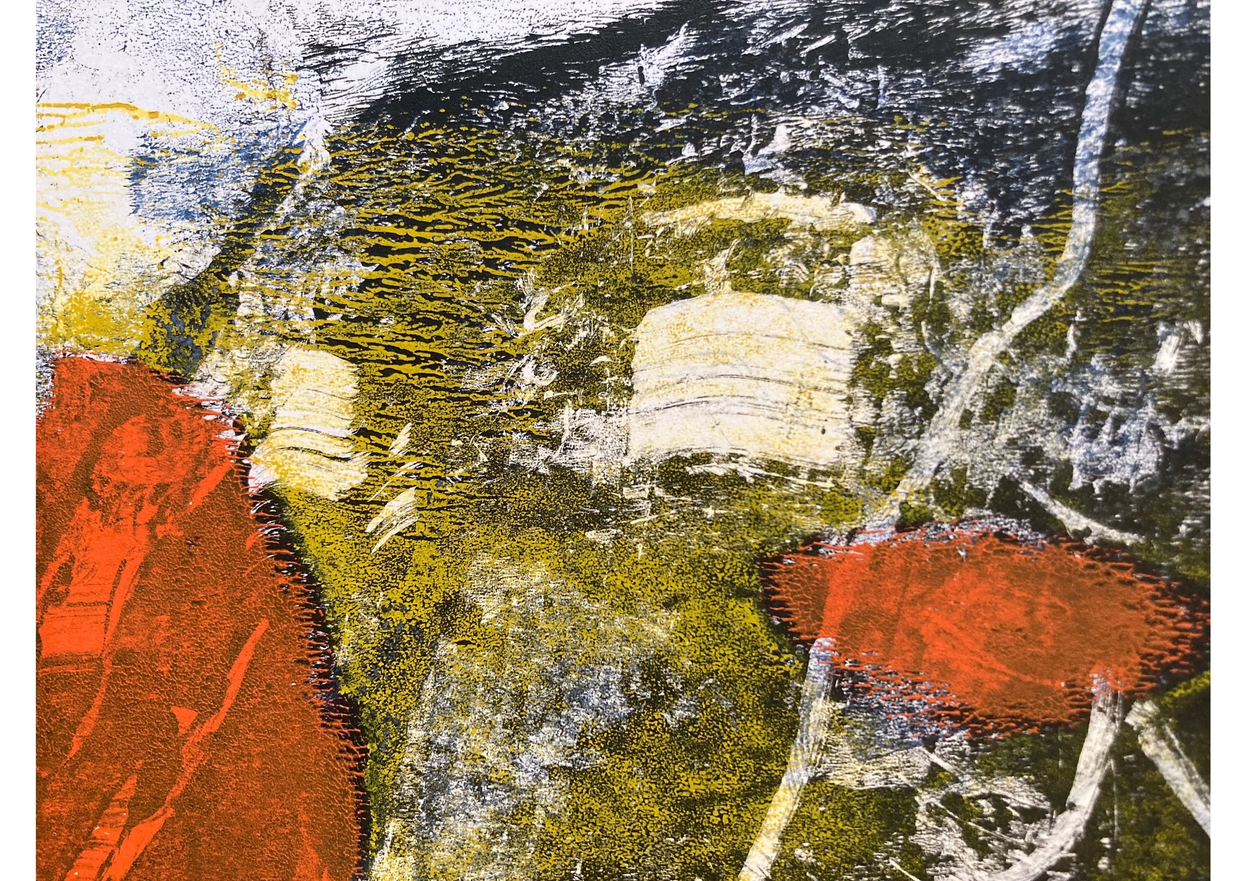 Greetings cards — Phyllida Shelley