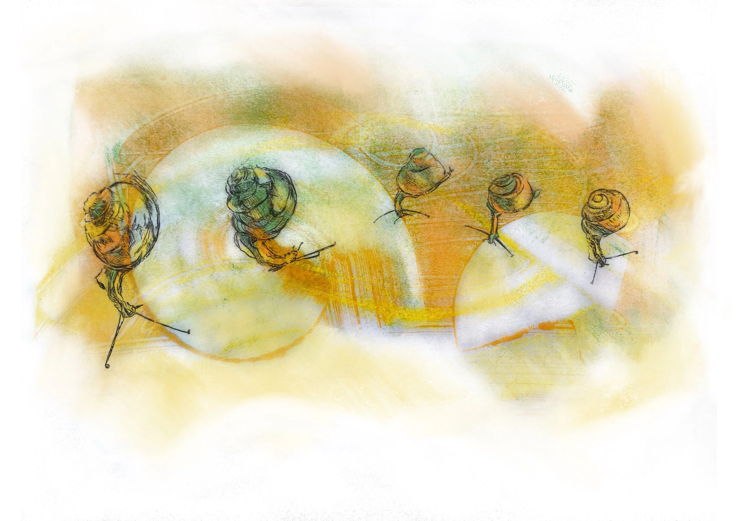 Greetings cards — Phyllida Shelley