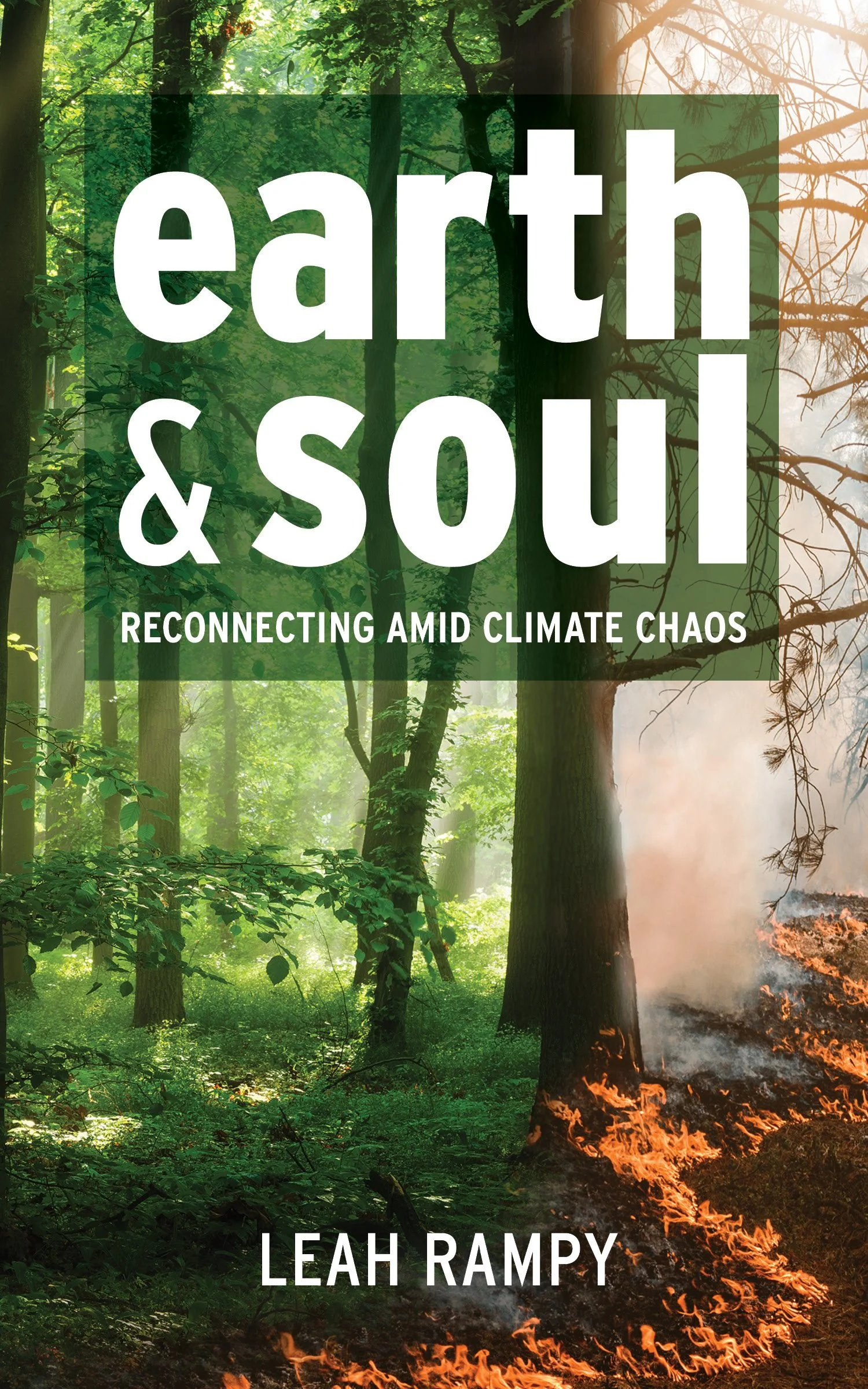 Earth & Soul: Reconnecting Amid Climate Chaos