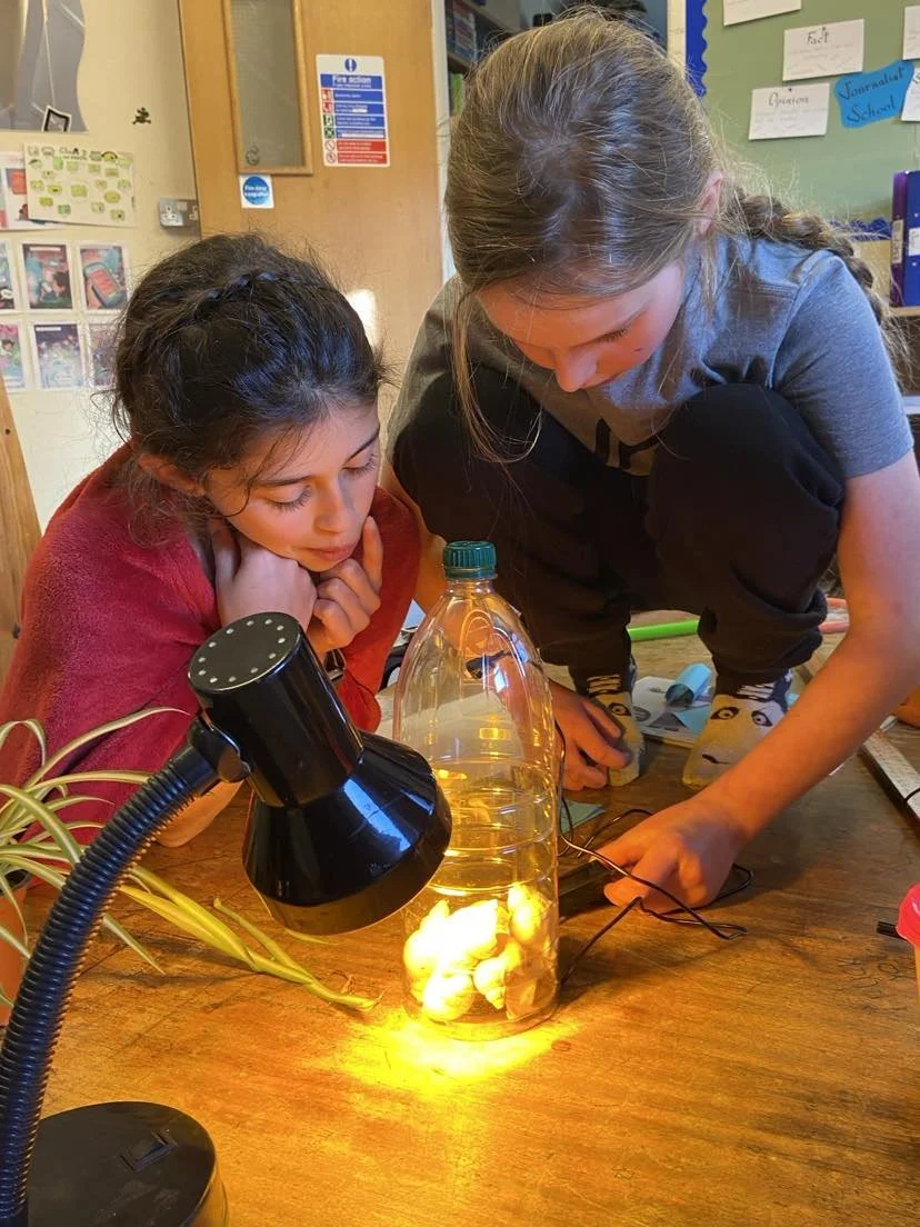 A.S. Neill Summerhill School