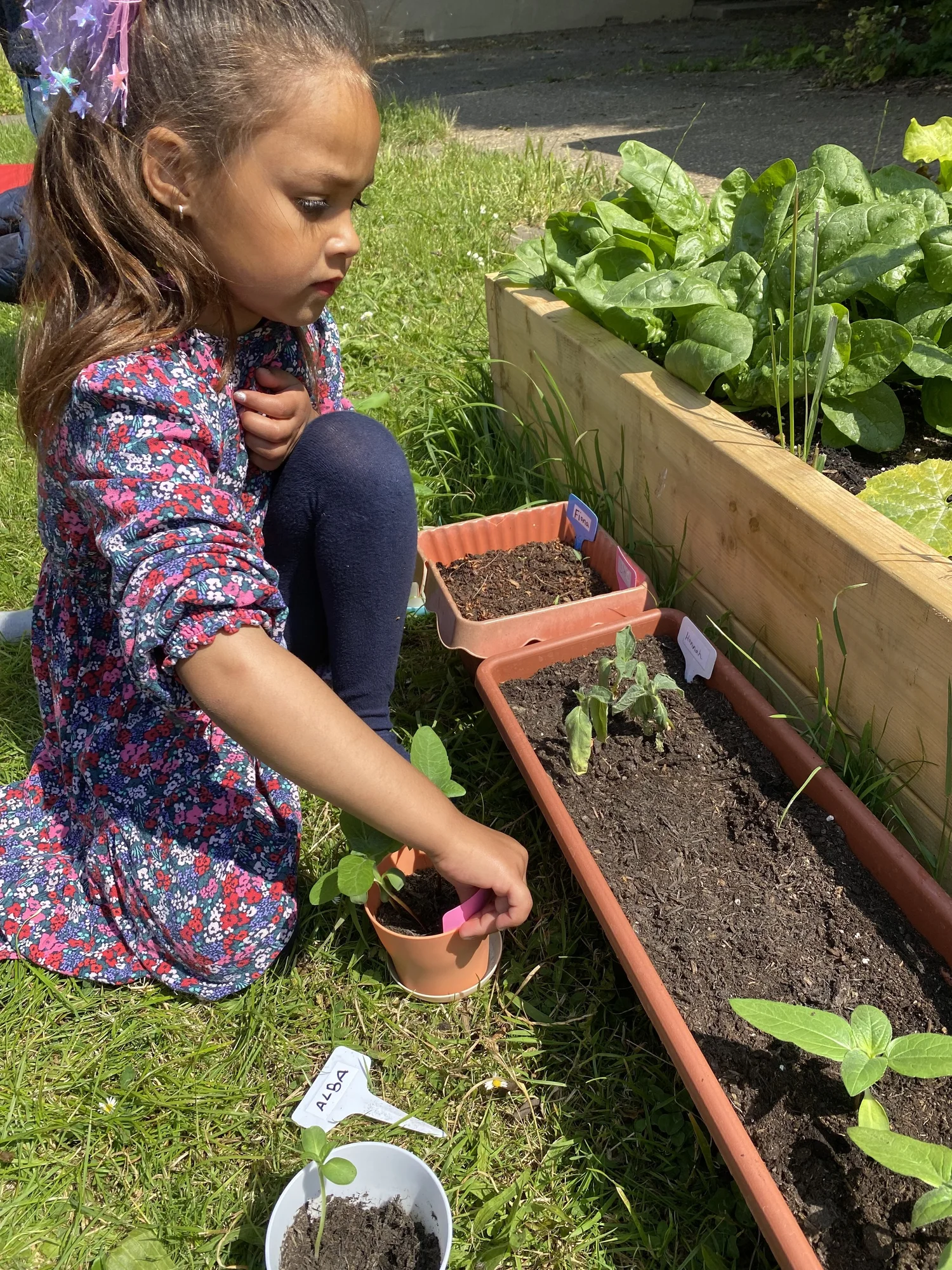 A typical Summerhill day — A.S. Neill Summerhill School