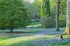 The Garden — High Beeches Woodland & Water Garden