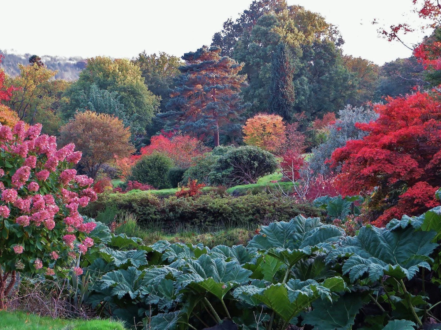 Seasonal Highlights — High Beeches Woodland & Water Garden