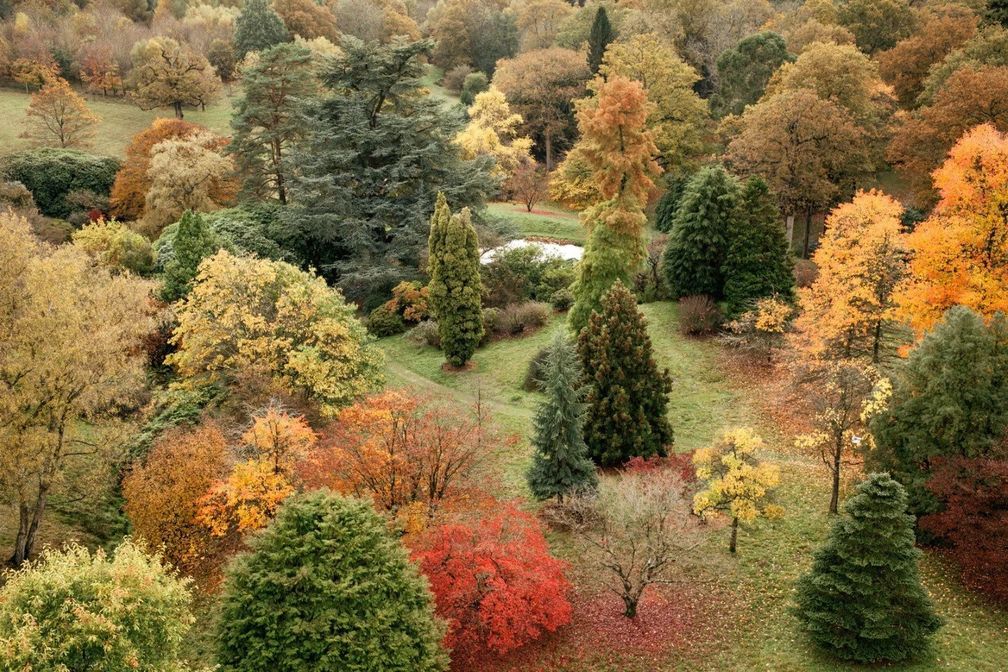 Group Visits — High Beeches Woodland & Water Garden
