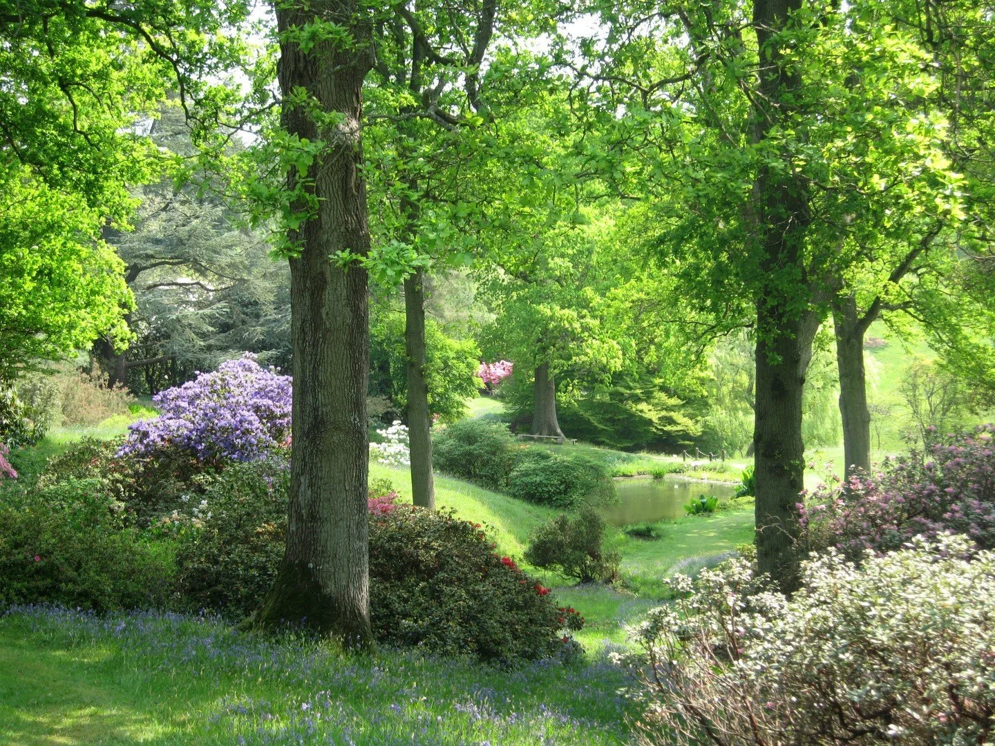 High Beeches Woodland and Water Garden | West Sussex