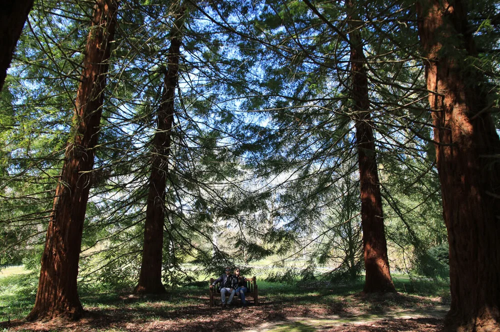 Services 3 — High Beeches Woodland & Water Garden