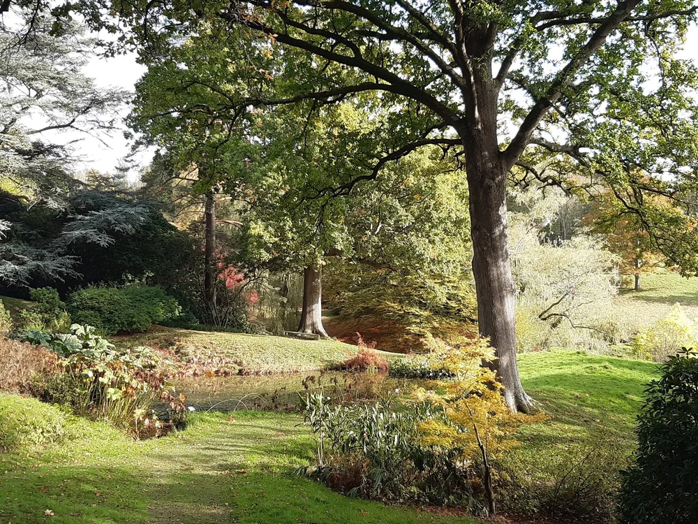 Services 3 — High Beeches Woodland & Water Garden
