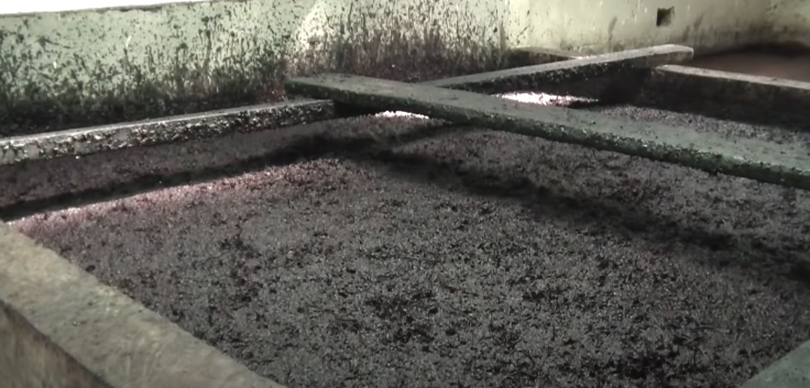 What Can You Ferment Wine In? — tèr·ra·ve·nos
