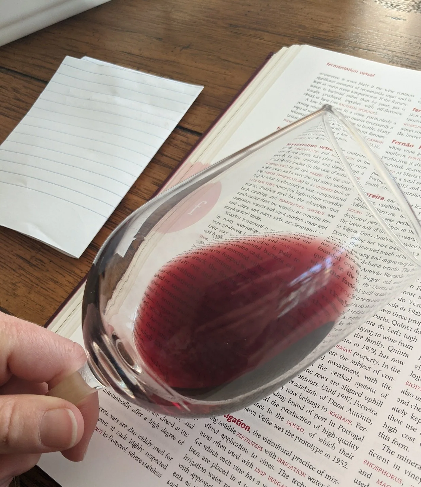 What Gives Red Wine Its Color? — tèr·ra·ve·nos