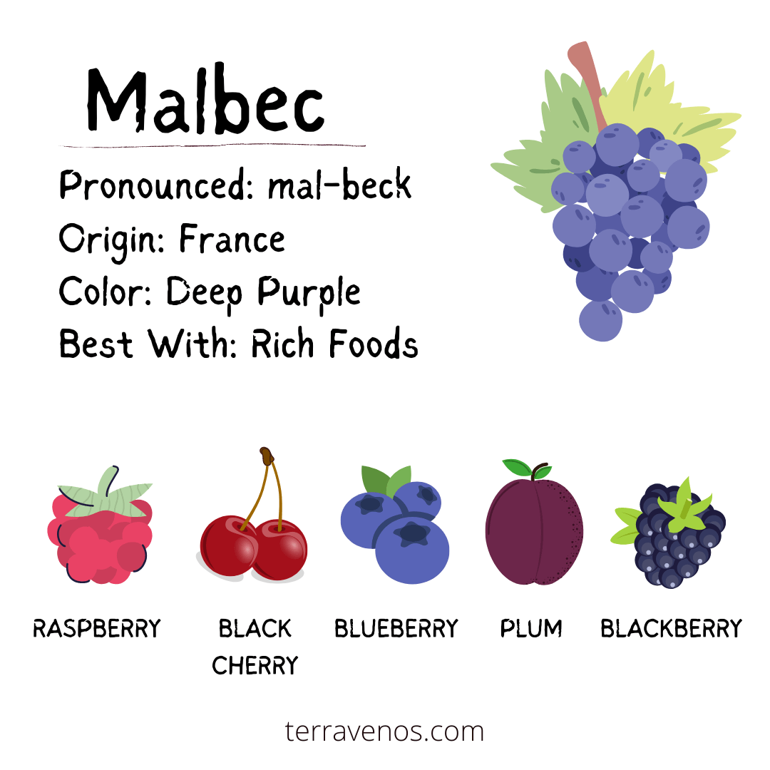 Malbec Grapes