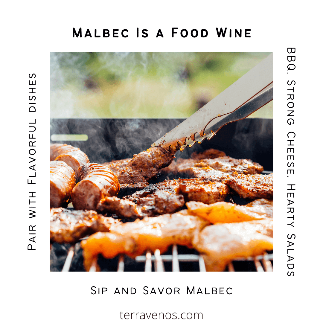 Malbec Wine: A Comprehensive Guide — tèr·ra·ve·nos