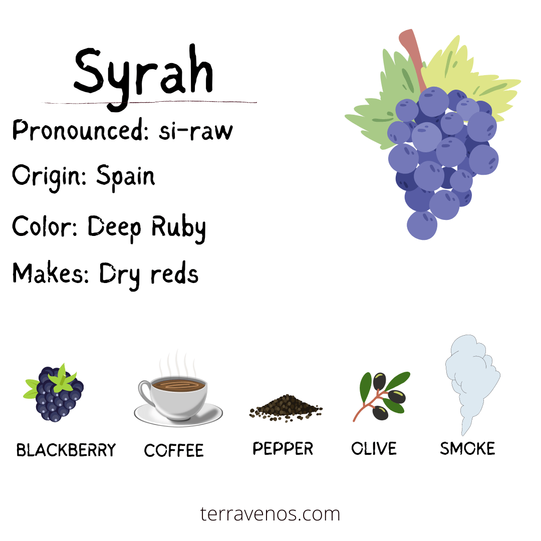 11 Strong Red Wines to Try Tonight! — tèr·ra·ve·nos