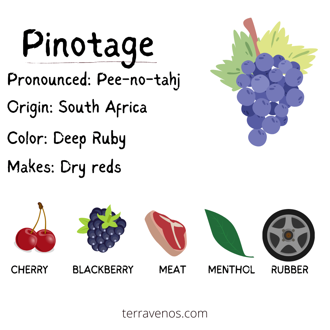 Discover the Surprising Origin of 13 Grape Names — tèr·ra·ve·nos
