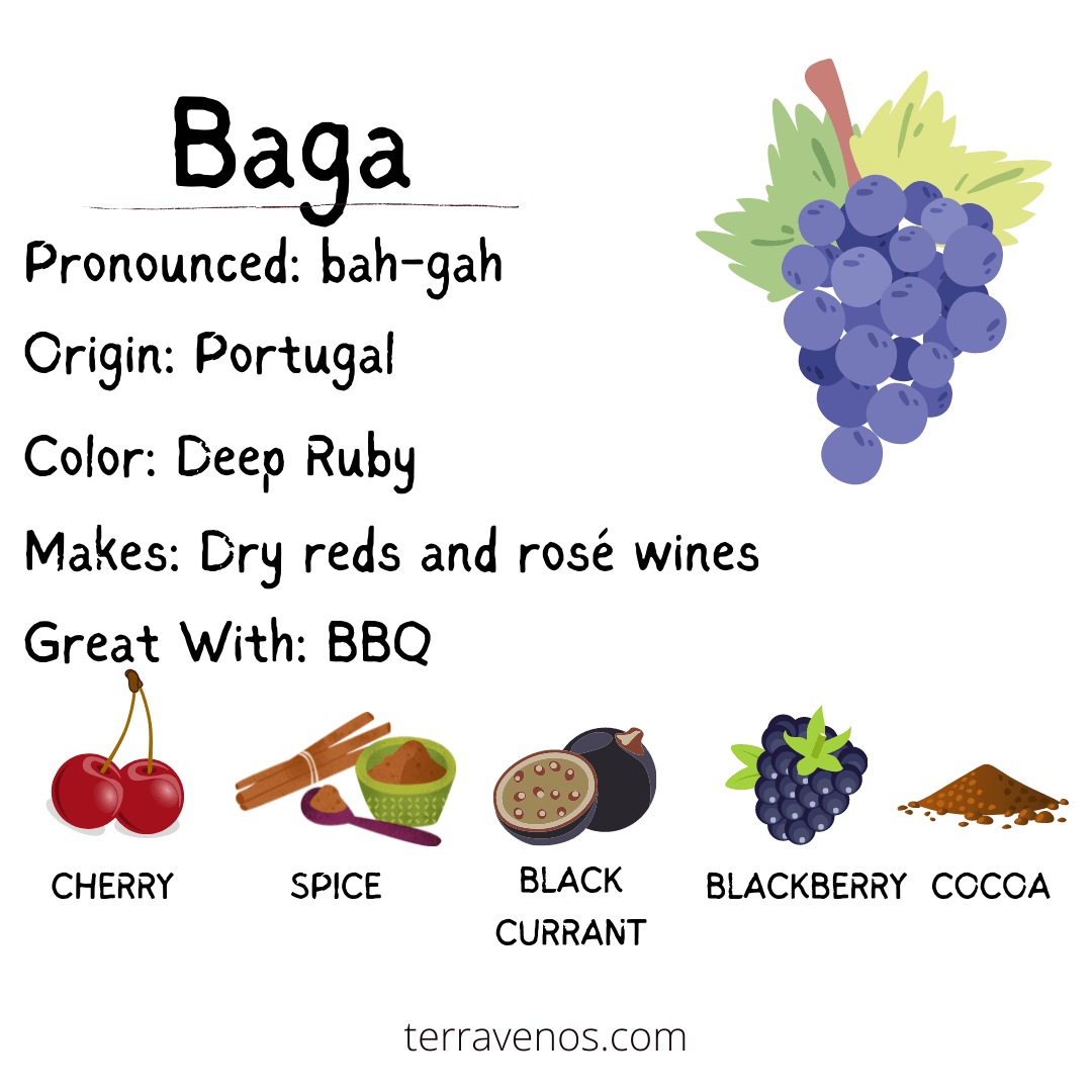 11 Strong Red Wines to Try Tonight! — tèr·ra·ve·nos