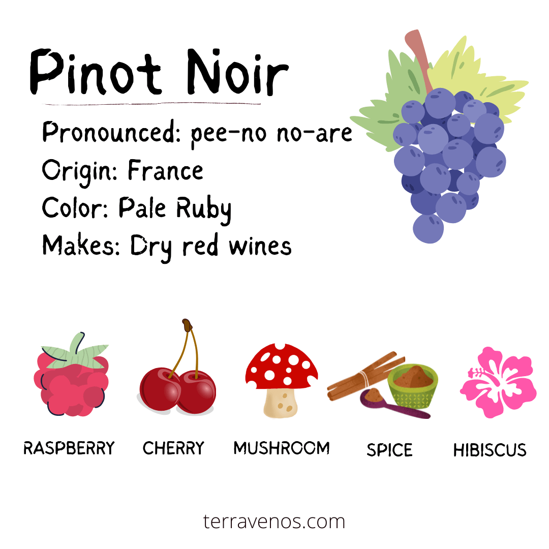 Pinot Noir Wine Color
