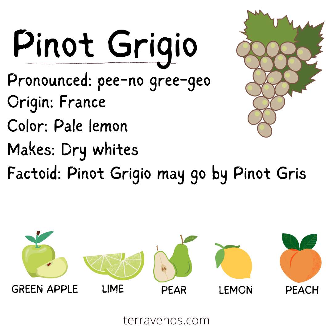 Chardonnay vs Pinot Grigio: Which Will You Drink Tonight? — tèr·ra·ve·nos