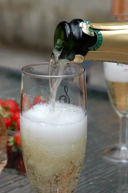 15 Fun Champagne Facts — tèr·ra·ve·nos